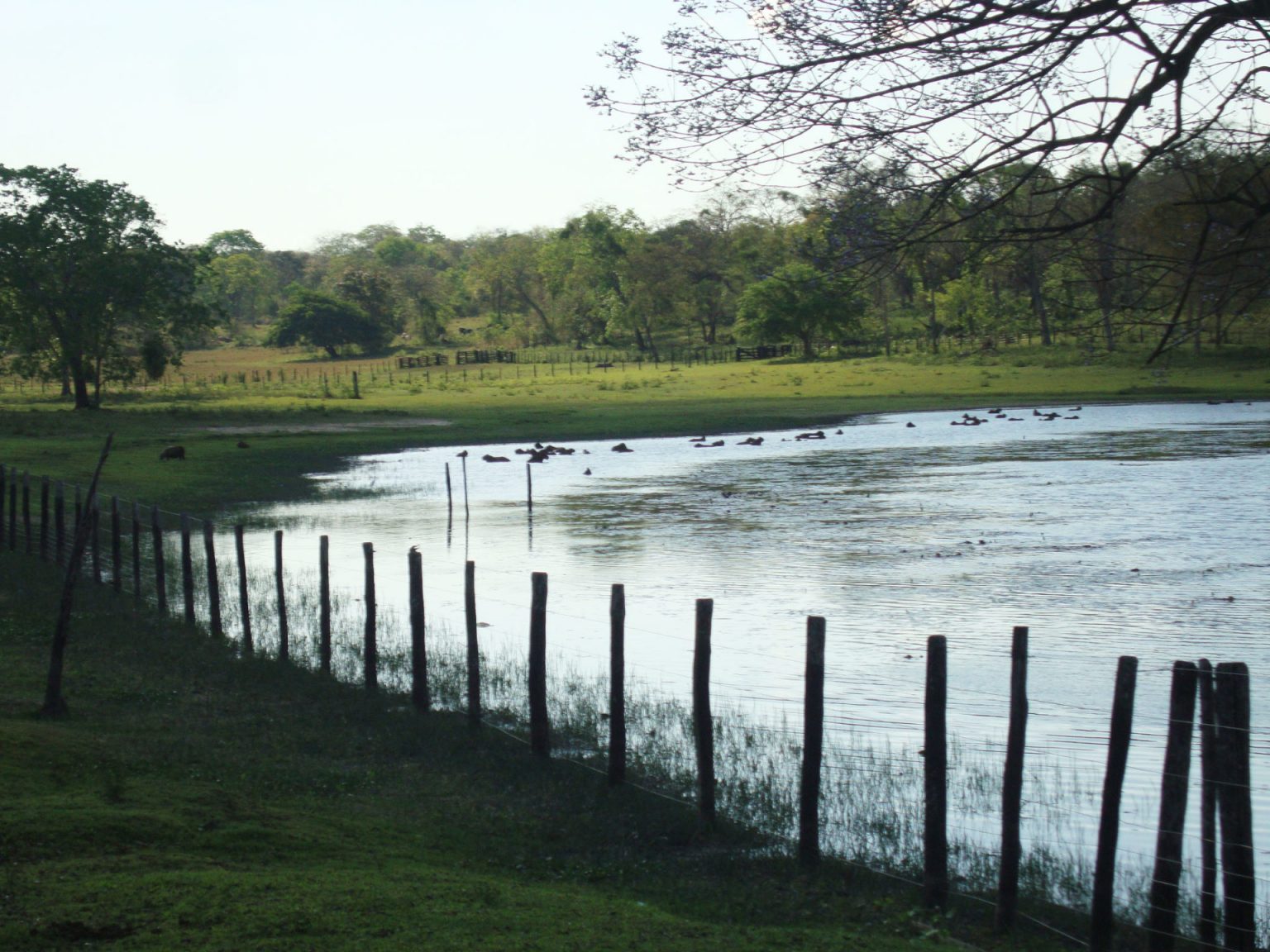 Viagem a Bonito e Pantanal - MS - Ecoturismo e aventura juntos!