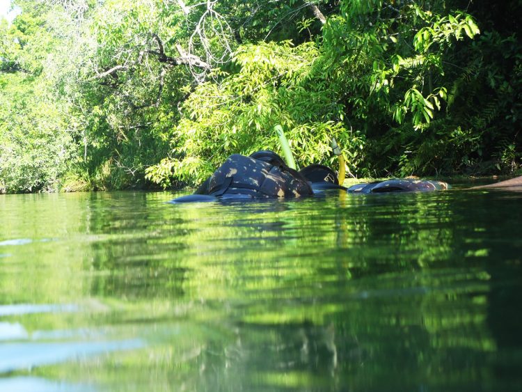 Recanto Ecológico Rio da Prata - Bonito - MS