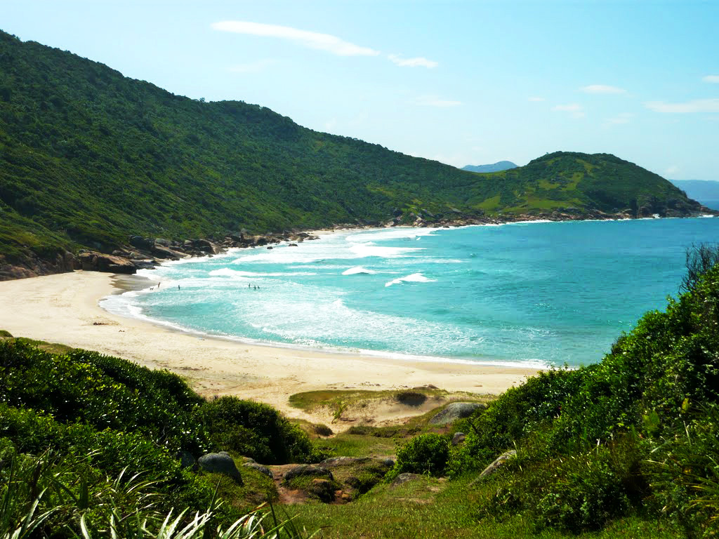 Trilha Prainha - Guarda do Embaú - SC - Natureza exuberante!