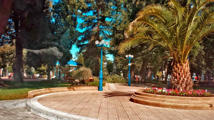 Uma viagem para Chillán no Chile: O Vale Las Trancas